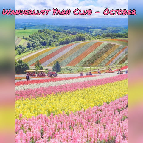 Woolly Mama Yarns - Beautiful Hand Dyed Yarns | Dyed in the UK